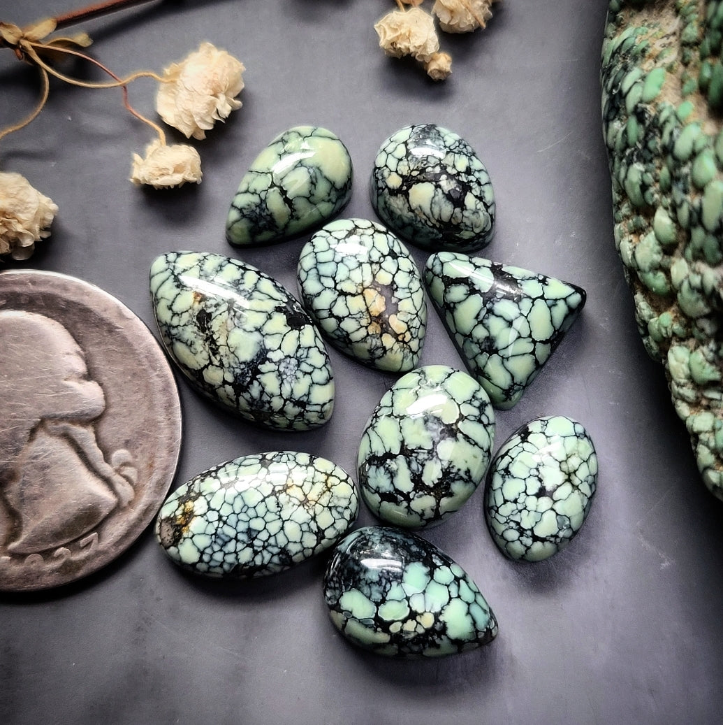 New Lander Variscite Mixed Set 8pcs Cab | Turquoise Obsession