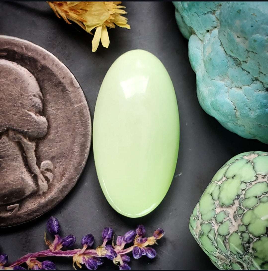 Lemon Chrysoprase Oval 21x11mm Cab | Turquoise Obsession