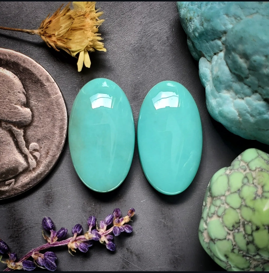 Campitos Turquoise Oval Set 18x10mm Cab | Turquoise Obsession