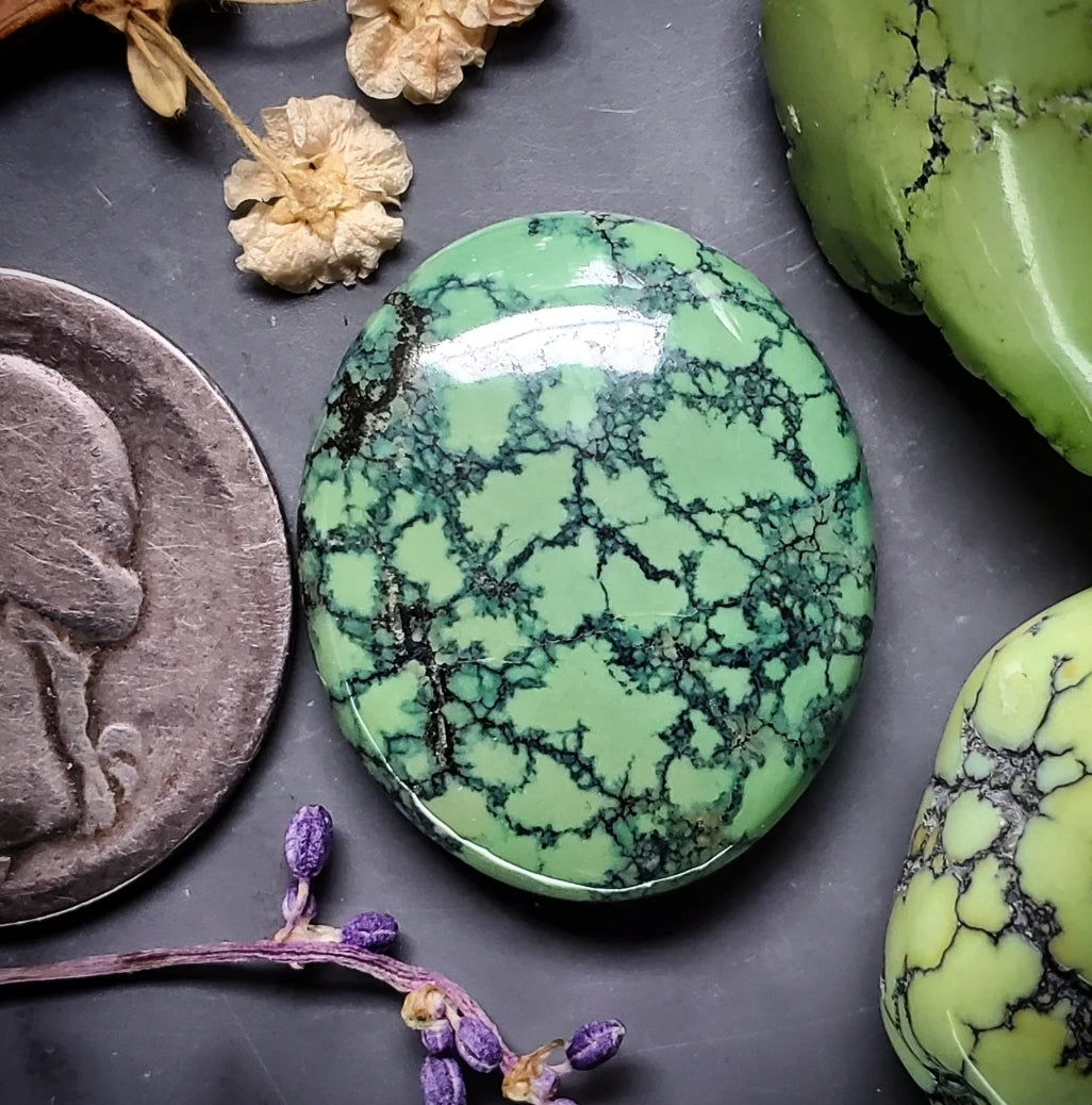 Lime Green Hubei Turquoise Oval 25x21mm Cab | Turquoise Obsession