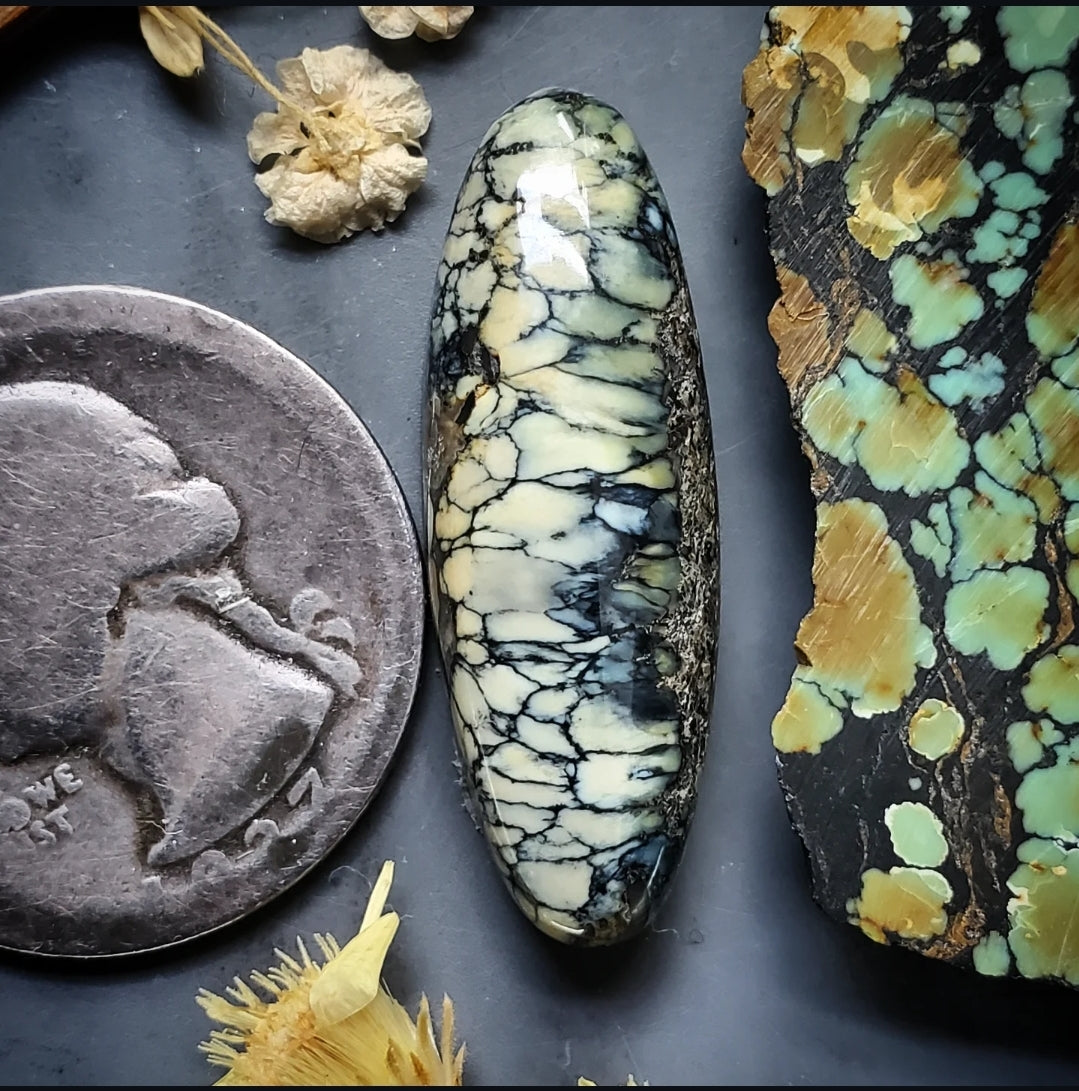 Silverpeak Variscite Oval 30x11mm Cab | Turquoise Obsession