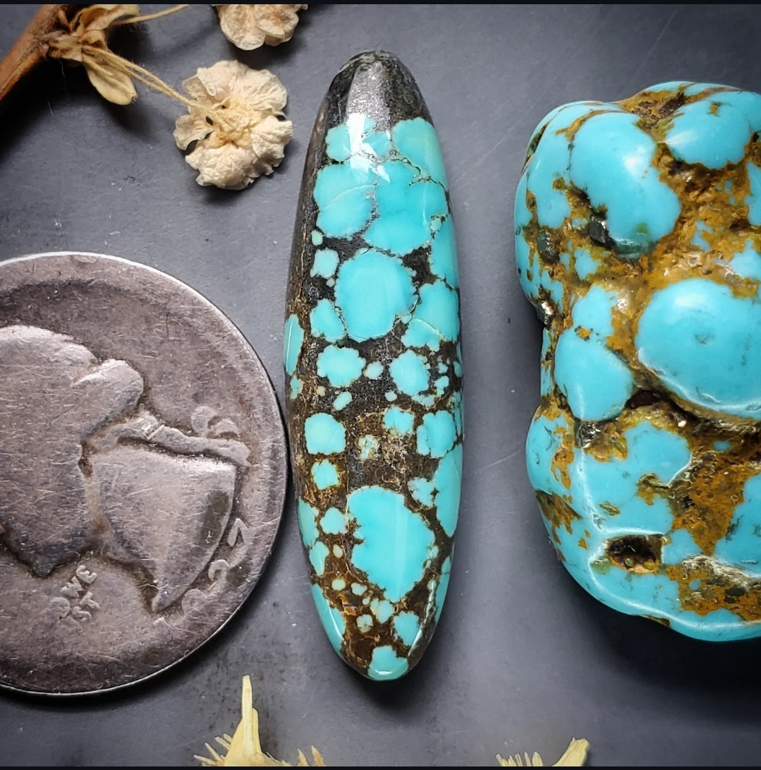 #8 Turquoise Oval 34x10mm Cab | Turquoise Obsession
