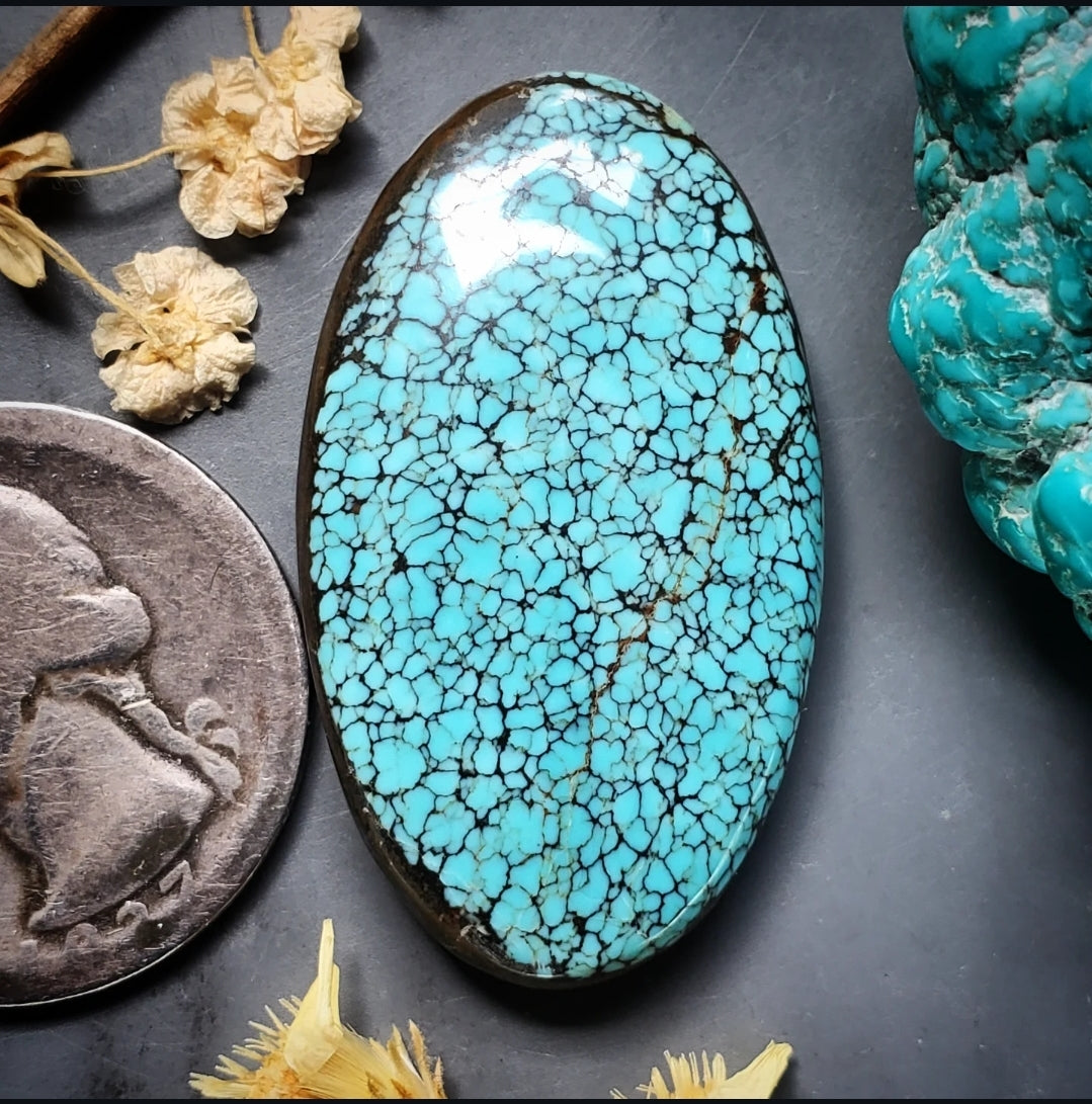 #8 Turquoise Black Web Large Oval 36x21mm Cab | Turquoise Obsession