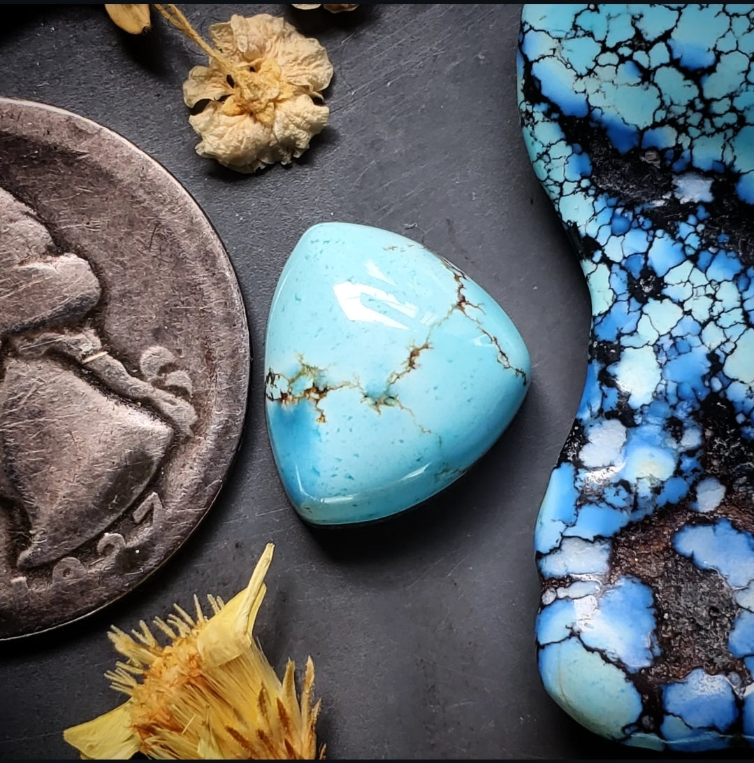 Golden Hills Turquoise Trillion 12x13mm Cab | Turquoise Obsession