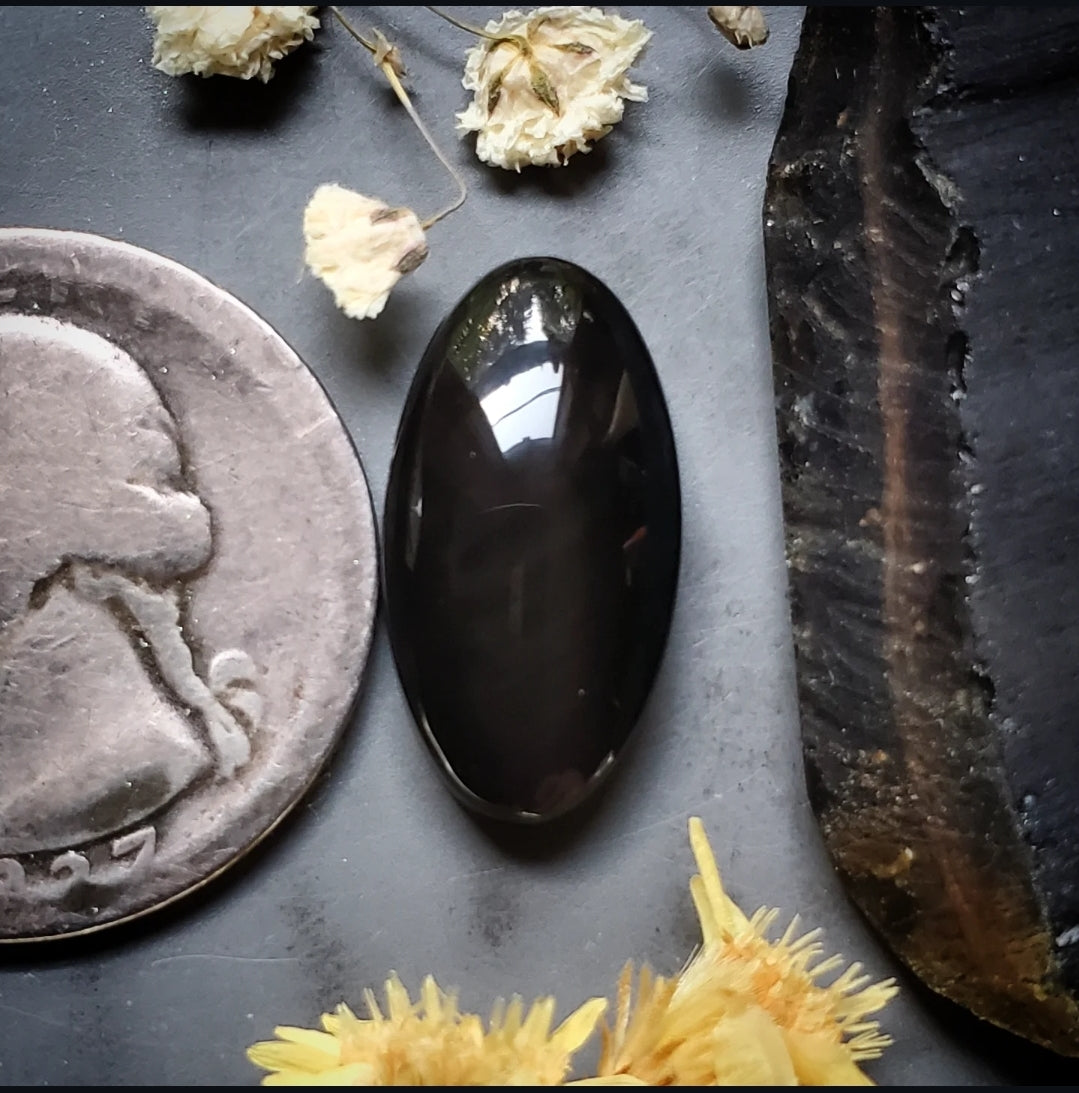 Obsidian Oval 19x10mm Cab | Turquoise Obsession