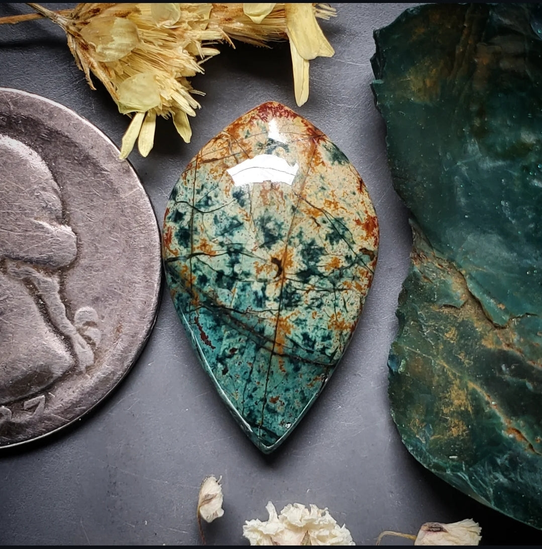 Morning Dew Jasper Petal 23x14mm Cab | Turquoise Obsession
