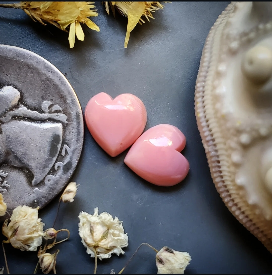 Bahamian Pink Conch Shell Hearts (2pc) 8mm Cab | Turquoise Obsession