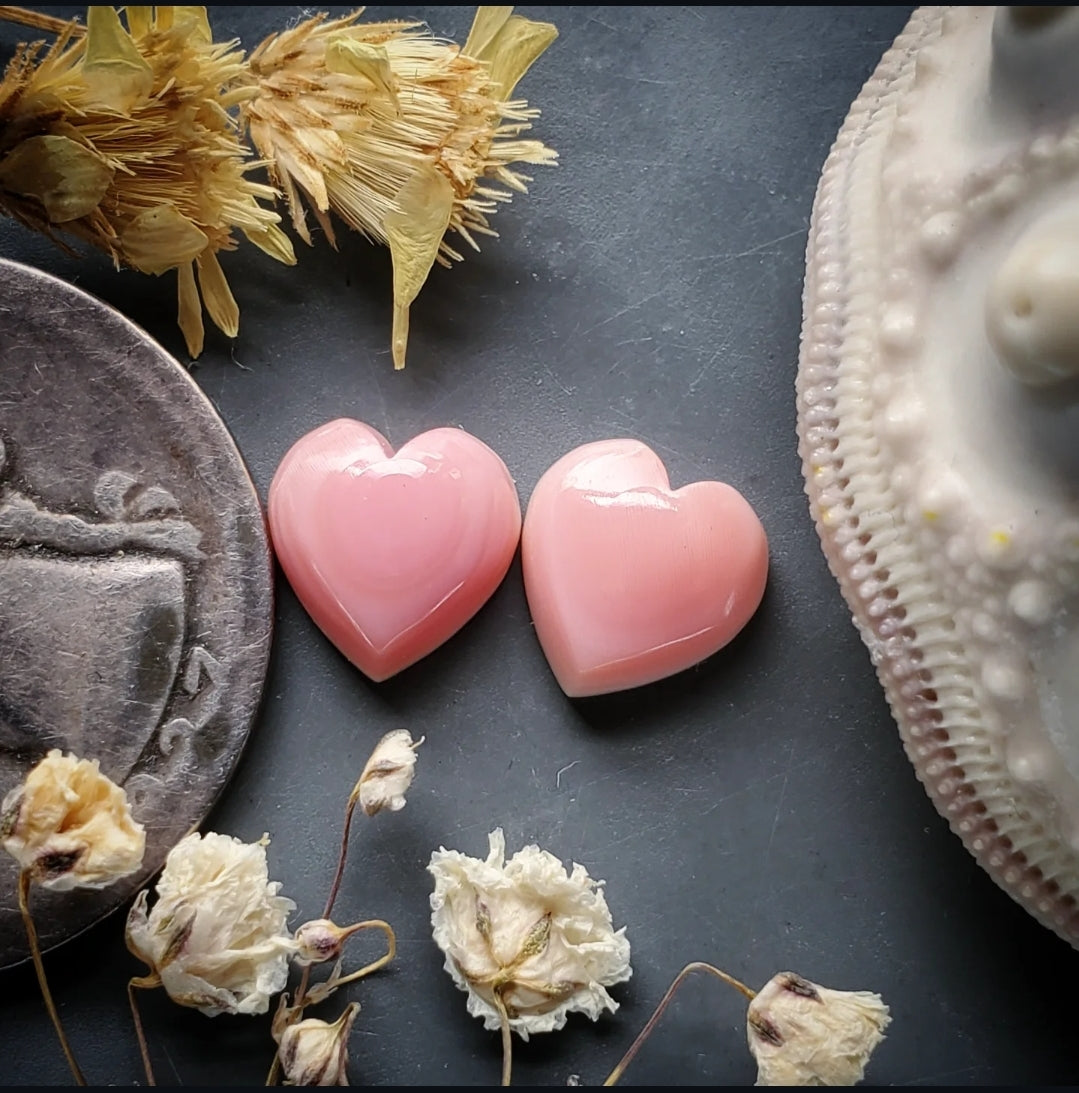 Bahamian Pink Conch Shell Hearts (2pc) 8mm Cab | Turquoise Obsession