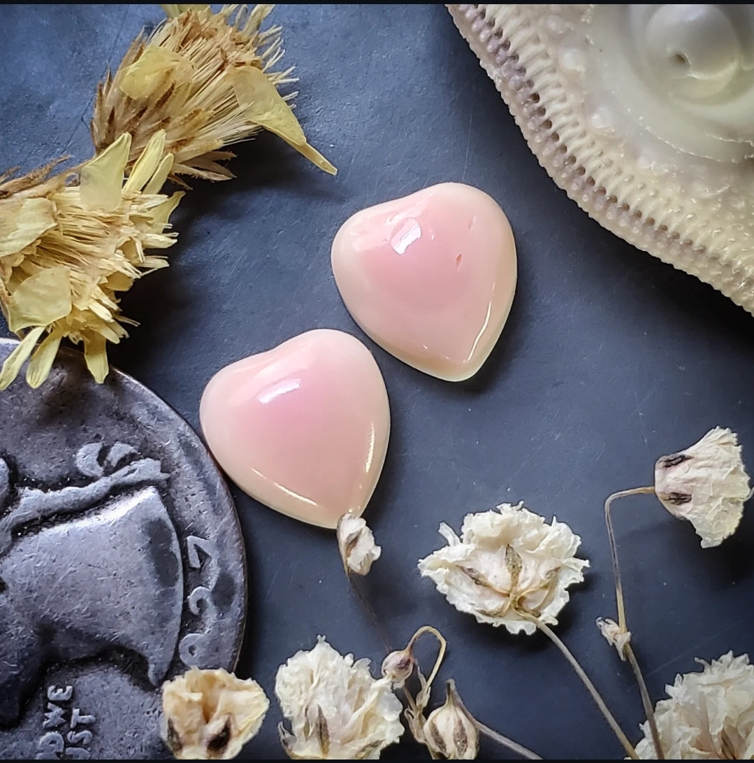 Bahamian Pink Conch Shell Hearts (2pc) 10mm Cab | Turquoise Obsession