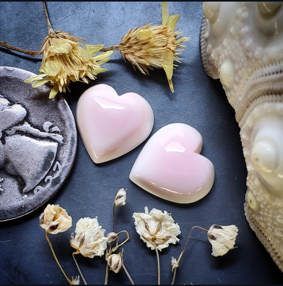 Bahamian Pink Conch Shell Hearts (2pc) 12mm Cab | Turquoise Obsession