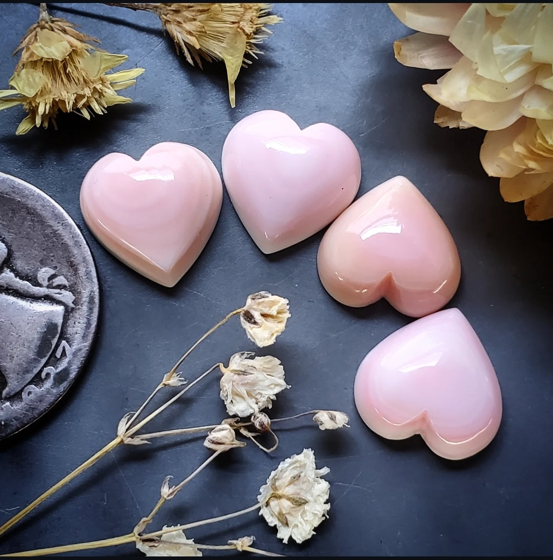 Bahamian Pink Conch Shell Hearts (4pc) 12mm Cab | Turquoise Obsession