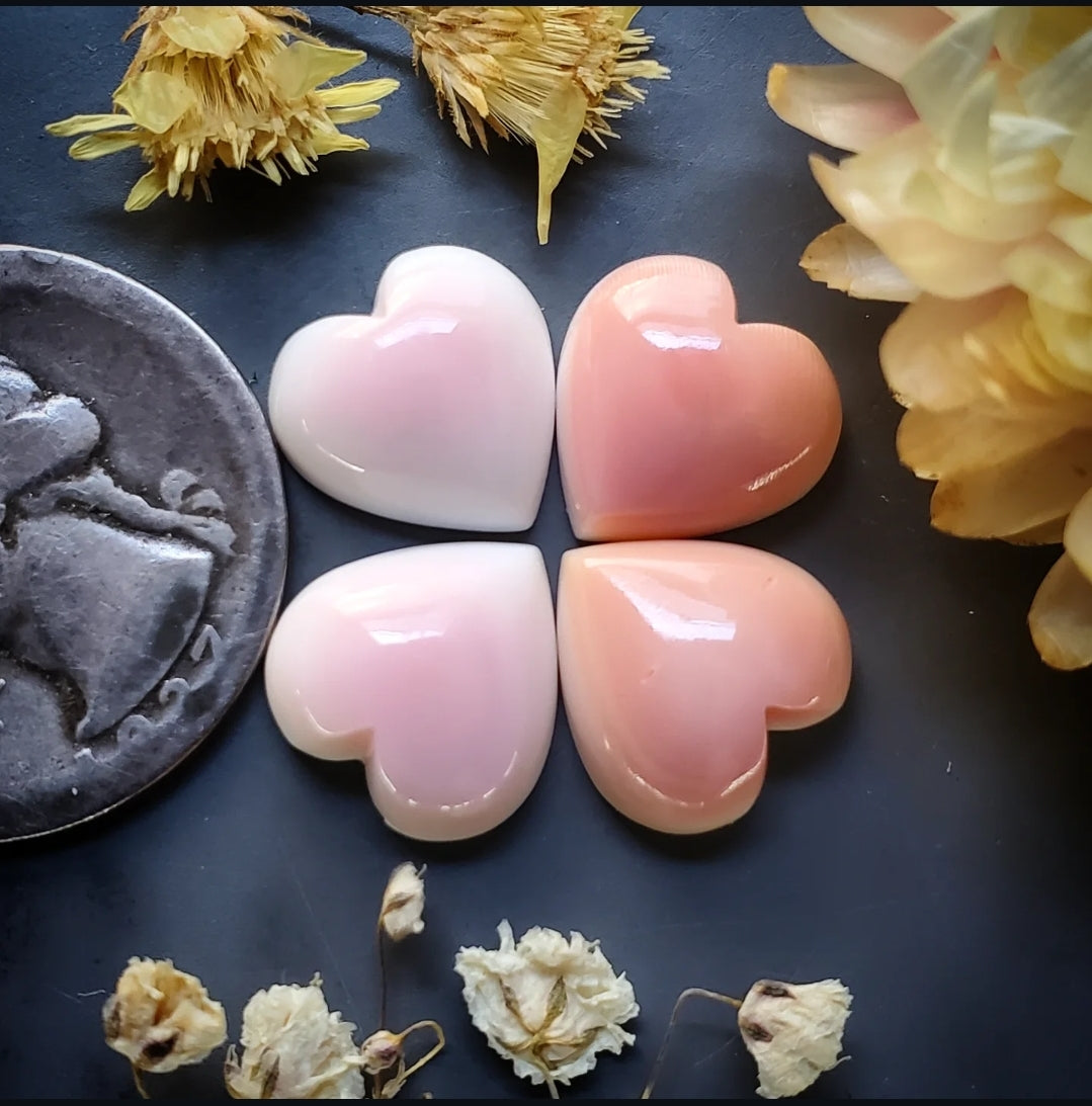 Bahamian Pink Conch Shell Hearts (4pc) 12mm Cab | Turquoise Obsession