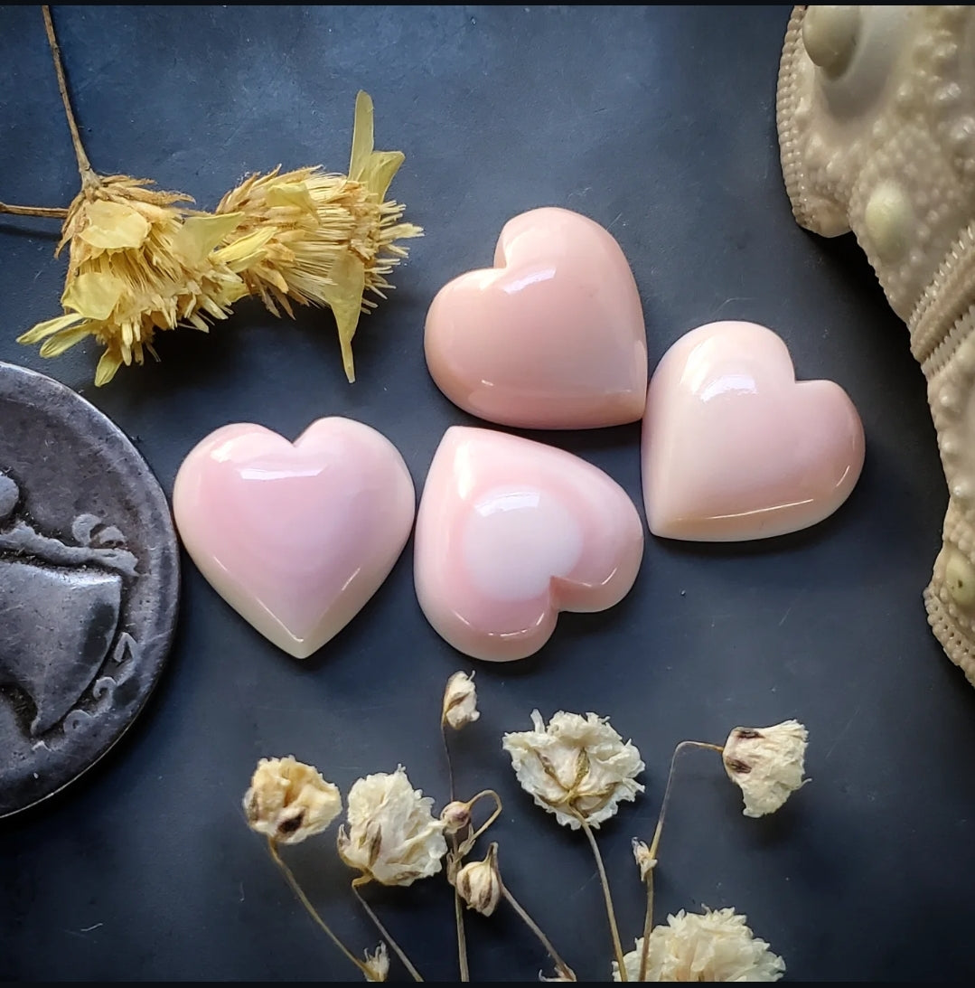 Bahamian Pink Conch Shell Hearts (4pc) 12mm Cab | Turquoise Obsession