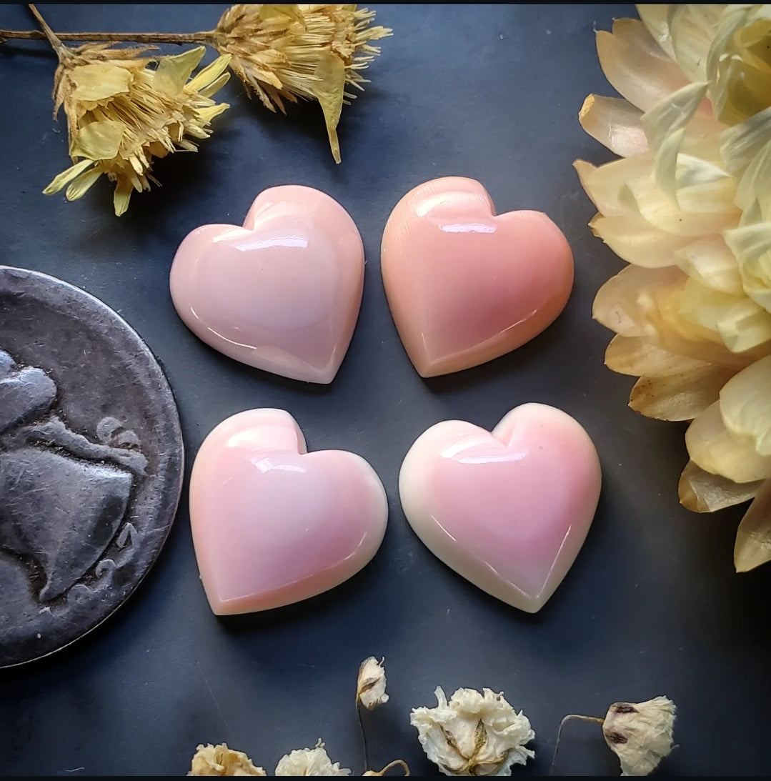 Bahamian Pink Conch Shell Hearts (4pc) 12mm Cab | Turquoise Obsession