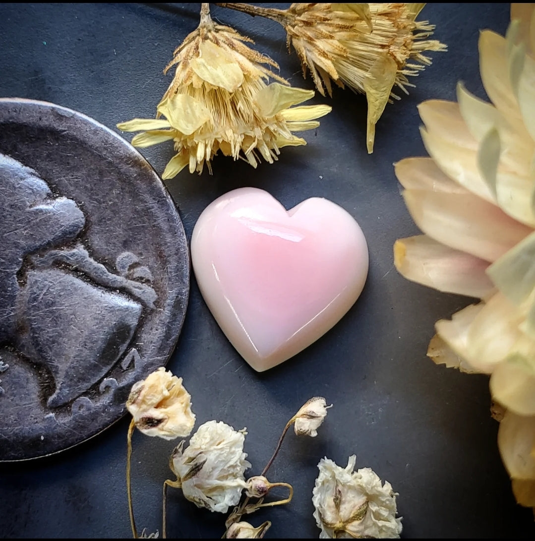 Bahamian Pink Conch Shell Heart 12mm Cab | Turquoise Obsession