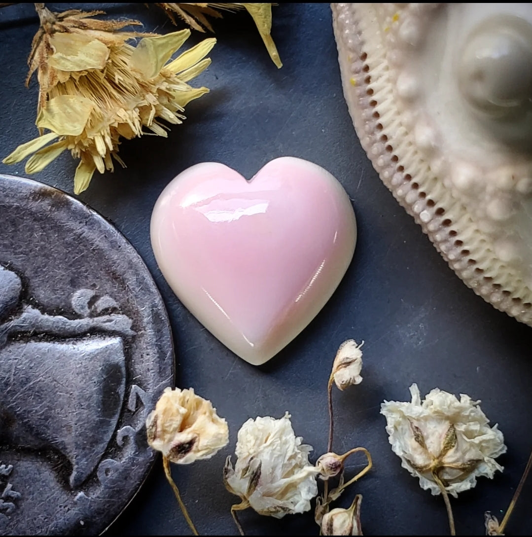 Bahamian Pink Conch Shell Heart 12mm Cab | Turquoise Obsession