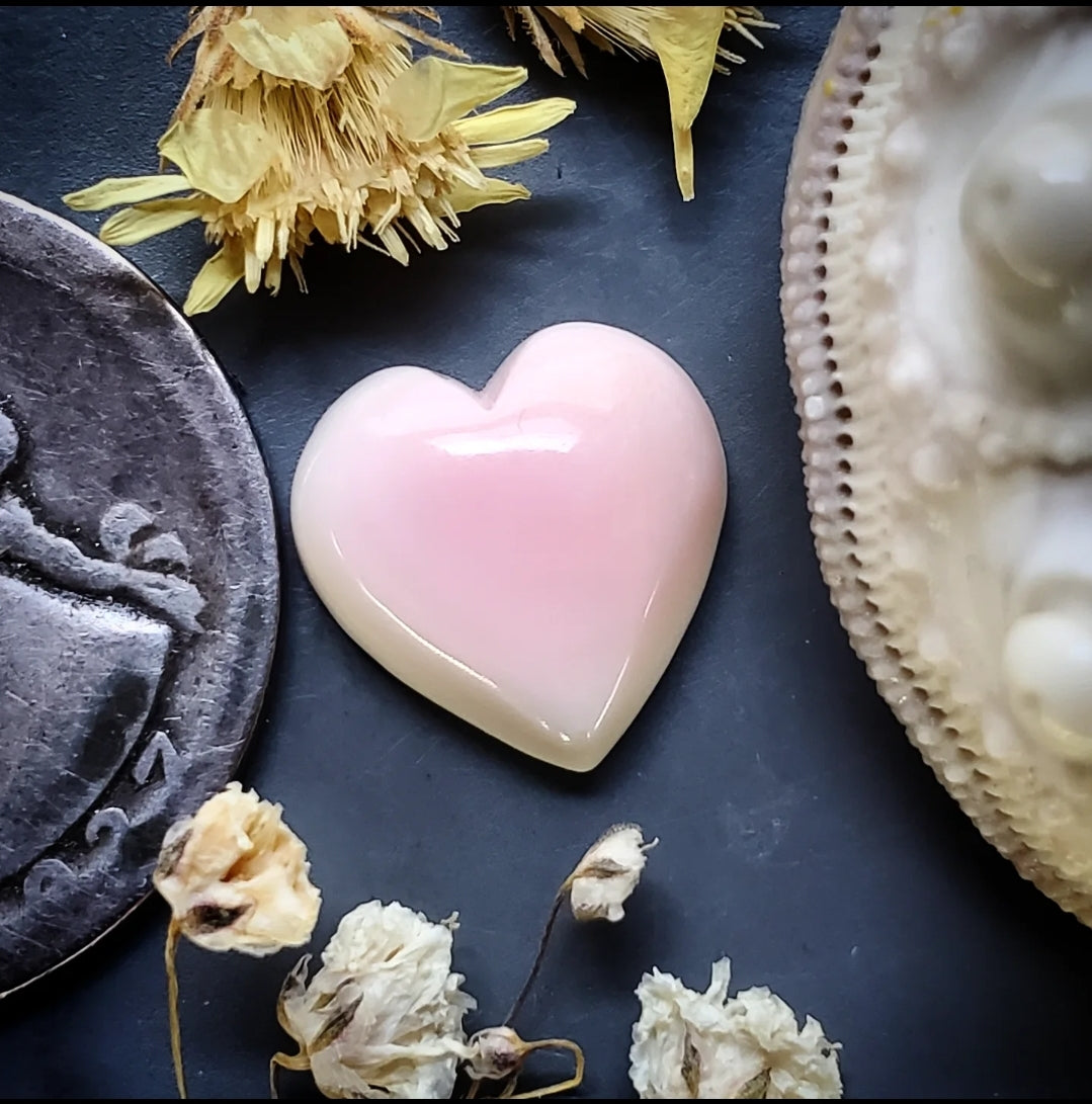 Bahamian Pink Conch Shell Heart 12mm Cab | Turquoise Obsession