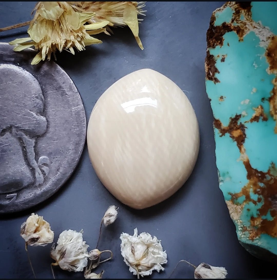 Alaskan WMT Marquise 20x16mm Cab | Turquoise Obsession