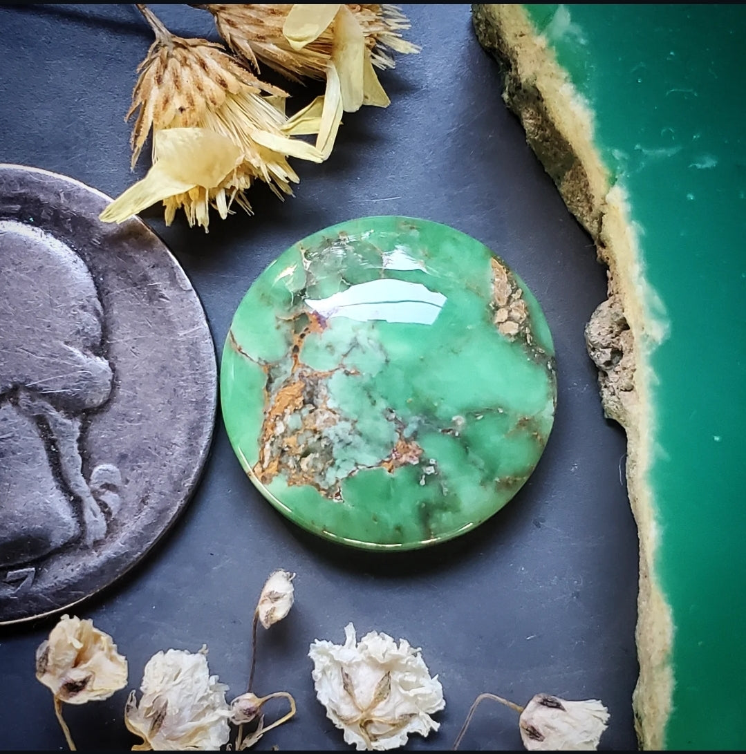 Woodlands Station Variscite Round 17mm Cab | Turquoise Obsession
