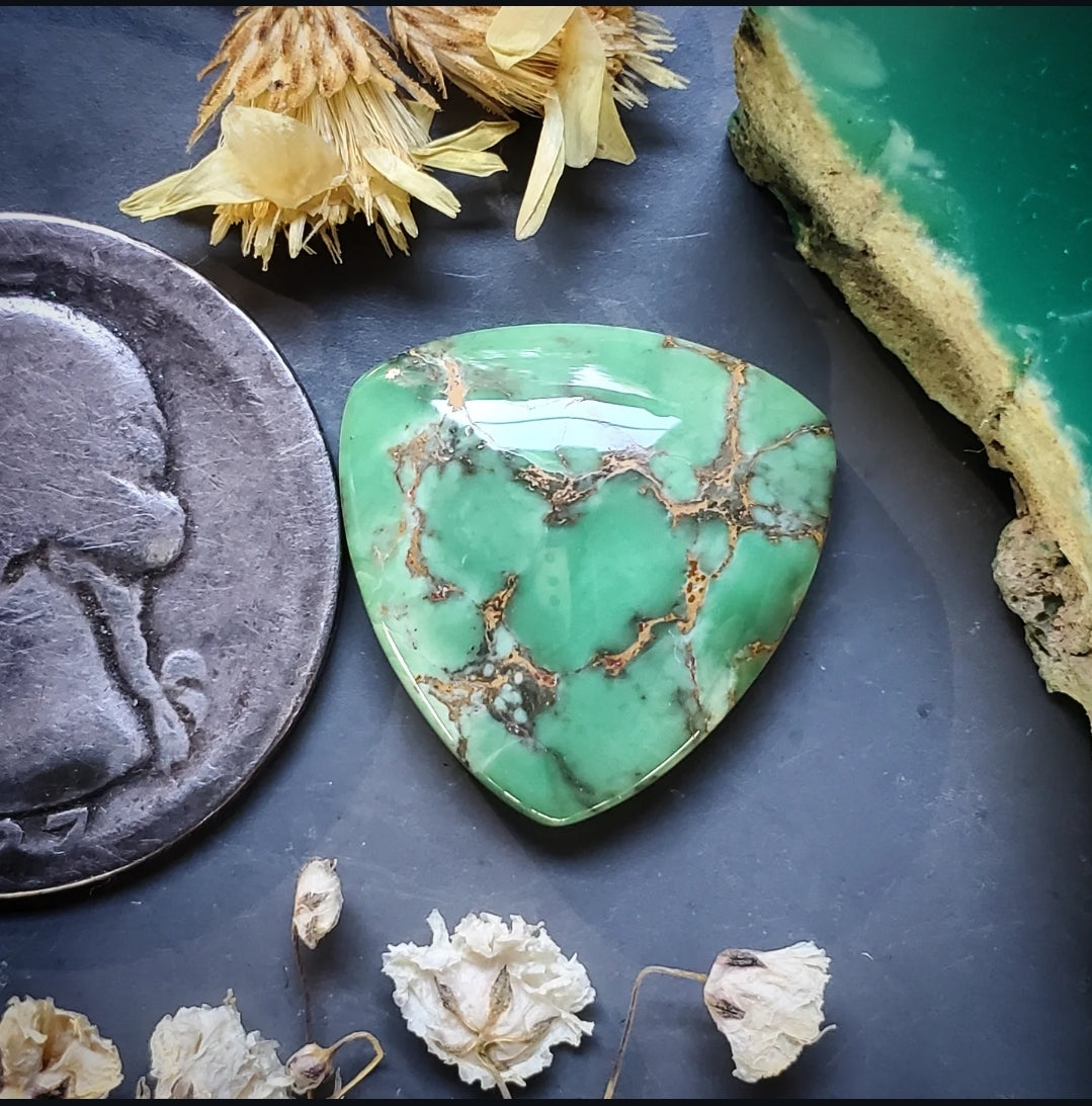 Woodlands Station Variscite Trillion 17x17mm Cab | Turquoise Obsession