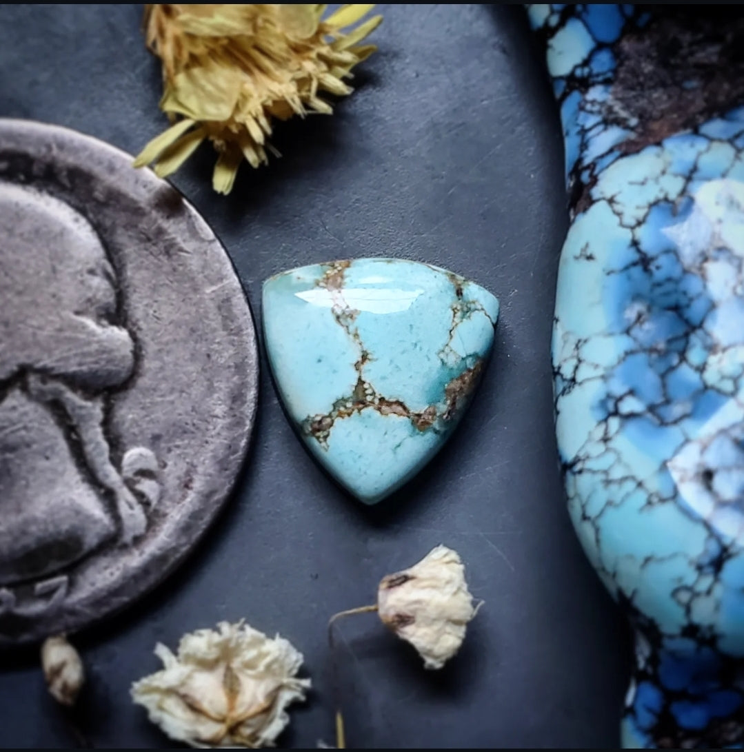 Golden Hills Turquoise Trillion 11x18mm Cab | Turquoise Obsession