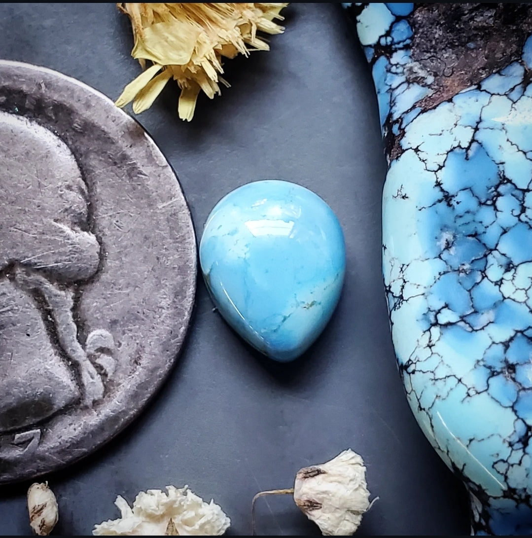 Golden Hills Turquoise Drop 10x8mm Cab | Turquoise Obsession