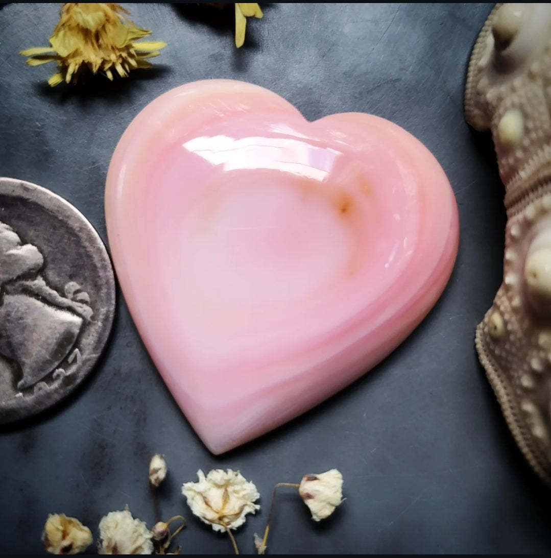 Bahamian Pink Conch Shell Massive Heart 35x34mm Cab | Turquoise Obsession