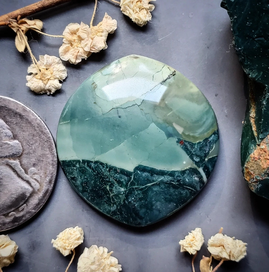 Hava Ridge Jasper Marquise 30x28mm Cab | Turquoise Obsession