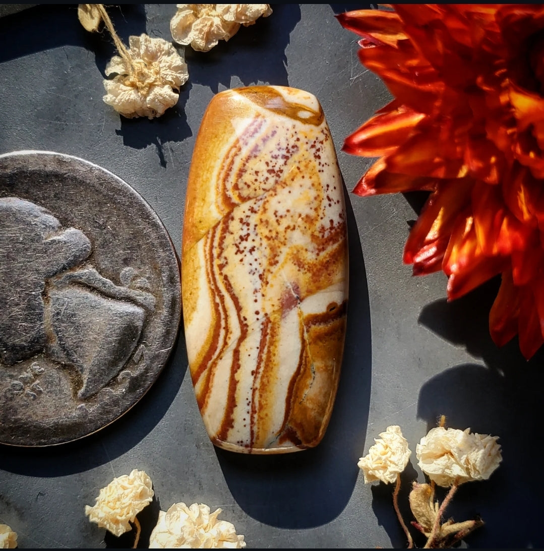 Red Canyon Picture Jasper Bar 29x13mm Cab | Turquoise Obsession