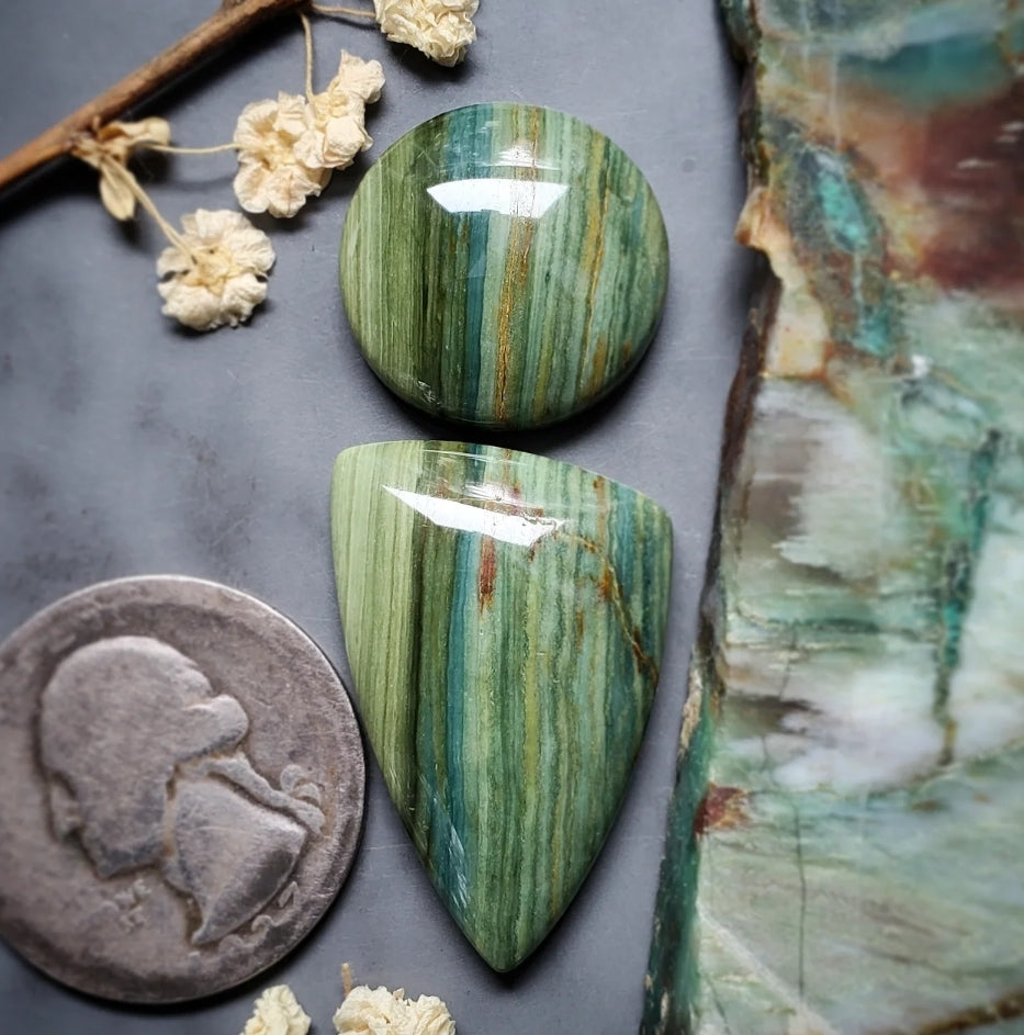 Gary Green Round Freeform Set 2pcs Cab | Turquoise Obsession