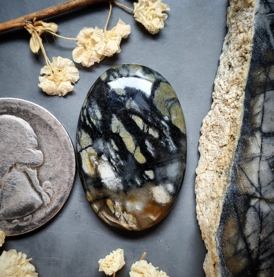 Picasso Stone Oval 29x19mm Cab | Turquoise Obsession