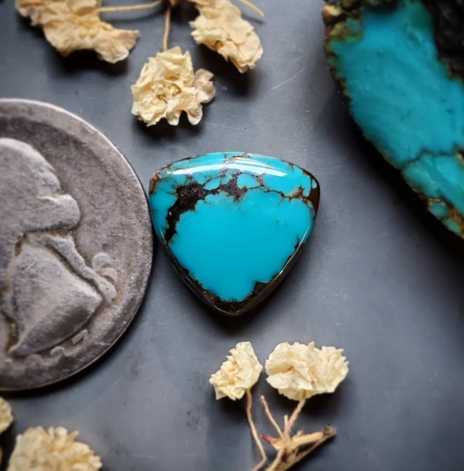 Gold Halo Qingu Turquoise Trillion 13mm Cab | Turquoise Obsession