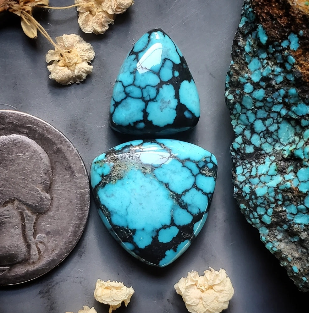 Natural Moon River Turquoise Trillion Set 2pcs Cab | Turquoise Obsession