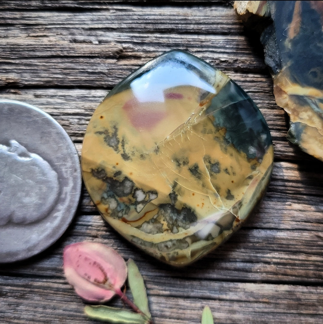 Morrisonite Jasper Freeform 32x28mm Cab | Turquoise Obsession