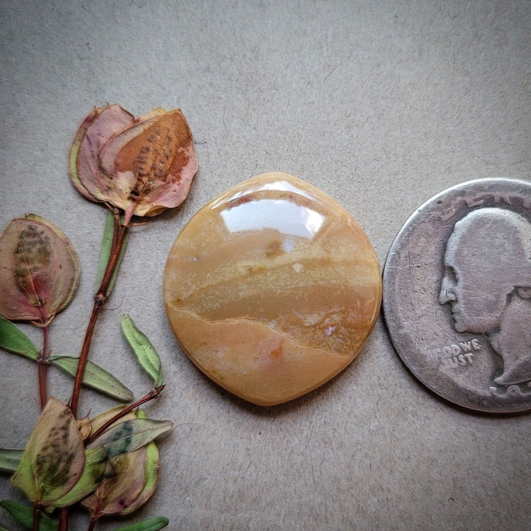 Oregon Sunset Jasper Chunky Marquise 23x22mm Cab | Turquoise Obsession